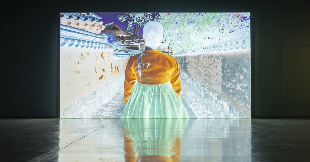 와엘 샤키, 대구미술관 개인전 개최 | Barakat Contemporary